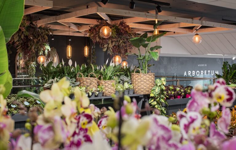 Arboretum Urban Green – Éire X