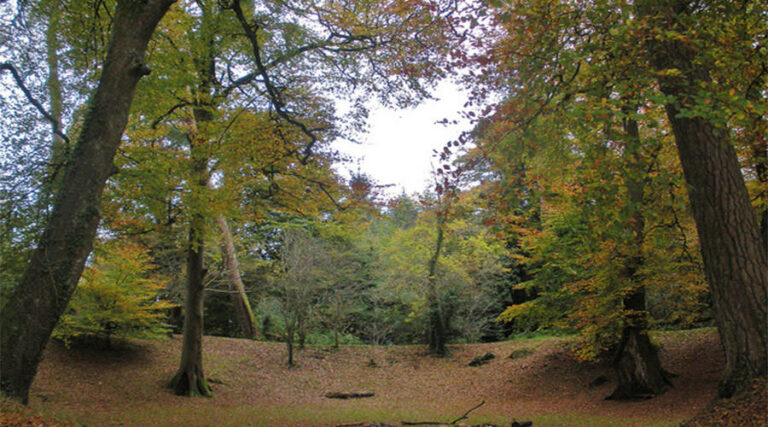 Béal Ború – Brian Ború’s Fort – Éire X