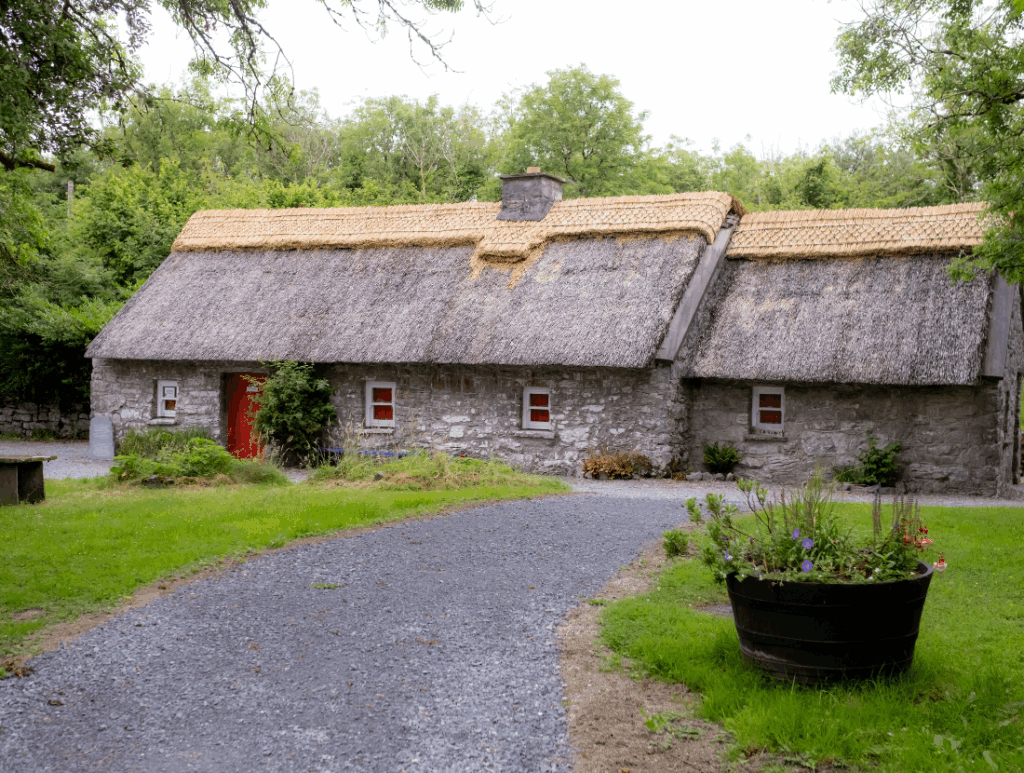 Michael Cusack Centre – Éire X