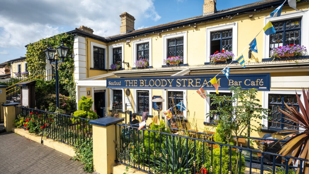 The Bloody Stream – Éire X