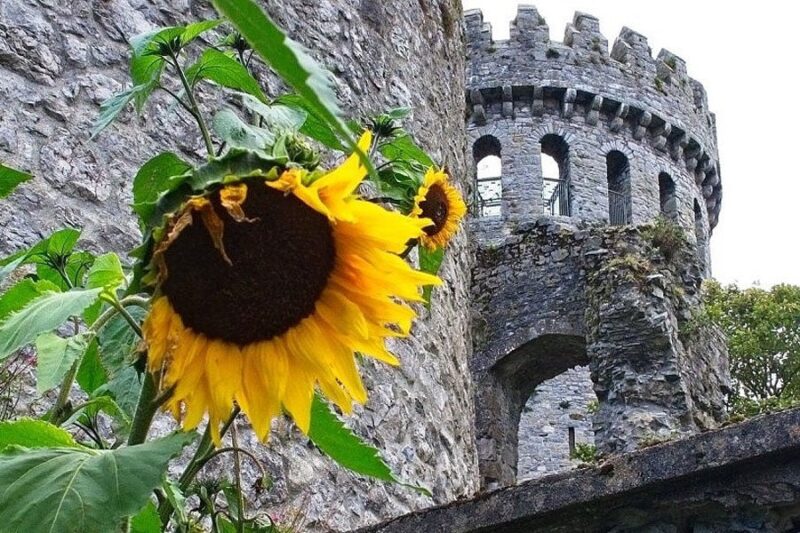 Nenagh Walking Tours – Éire X