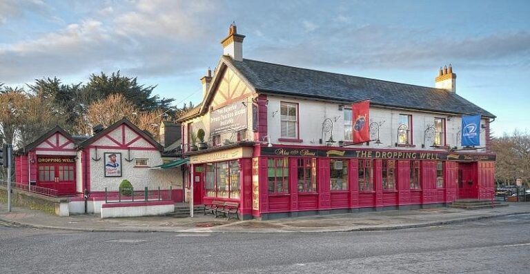 The Dropping Well – Éire X